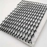 China HDPE Composite Drainage Net 5mm-9mm Thickness Direct Supply White Color Geonet for sale