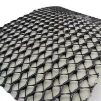 China density Polyethylene Plastic 3D Composite Drainage Geonet for Environmental Protection for sale