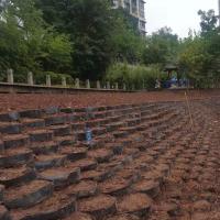 China HDPE Geocell Ground Grid Paver 75-200mm Height for Honeycomb Gravel Driveway Erosion Control for sale