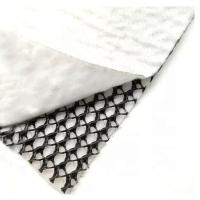 China 3D Composite Drainage Geonet 50m Length 7mm Thickness for Slope Protection for sale