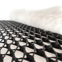 China HDPE Mesh 3D Composite Drainage Composite Geo Net Geonet Black White for Your Needs for sale
