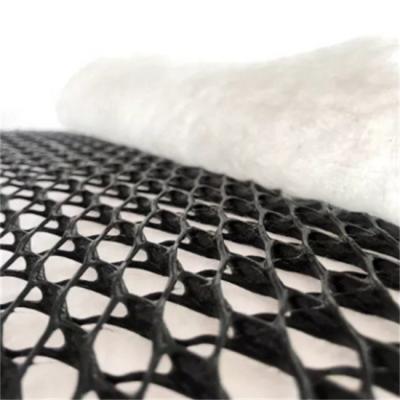China Rapid Construction Geonet Geotextile Composite Drainage Net for Artificial Turf Grass for sale