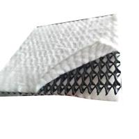 China Rapid Construction Geonet Geotextile Composite Drainage Net for Artificial Turf Grass for sale