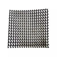 China Rapid Construction Geonet Geotextile Composite Drainage Net for Artificial Turf Grass for sale