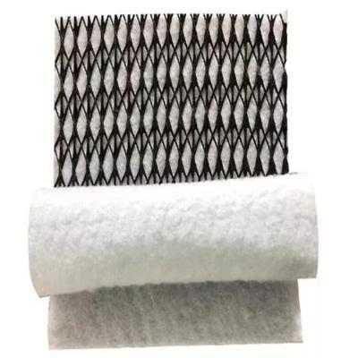 China 3D Composite Drainage Geonet Geocomposite Drain 7mm Thickness 1400gsm with CE ISO Certificates for sale