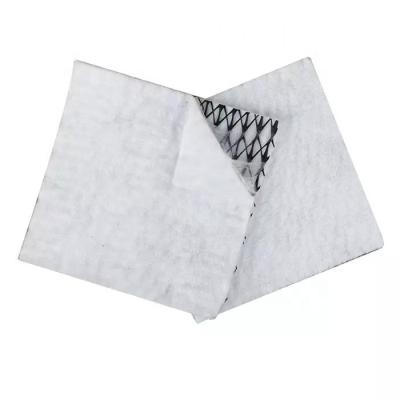 China Industrial Geocomposite Drain 3D Composite Drainage Geonet 7mm Thickness 1400gsm for sale