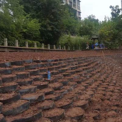 China Textured Smooth HDPE Geocell 100mm Height for Retaining Wall Slope Protection Highway Construction for sale