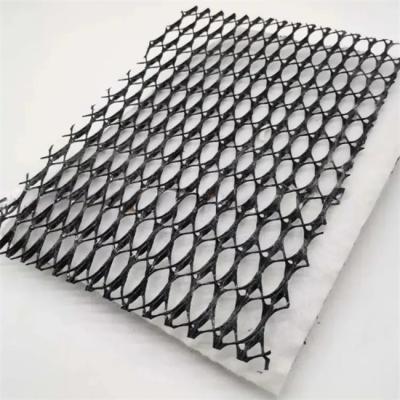 China 2m-4m Width Hdpe 3D Tri-Planar Composite Drainage Net for Total Project Solutions for sale