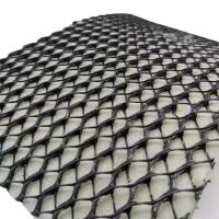 China 2m-4m Width Hdpe 3D Tri-Planar Composite Drainage Net for Total Project Solutions for sale
