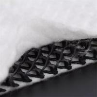 China 2m-4m Width Hdpe 3D Tri-Planar Composite Drainage Net for Total Project Solutions for sale