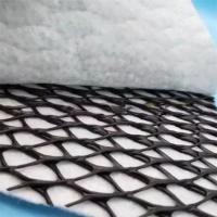 China 2m-4m Width Hdpe 3D Tri-Planar Composite Drainage Net for Total Project Solutions for sale