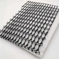 China Width 2m-4m Composite Geotextile Plastics Geonet Drainage Net for Project Solutions for sale