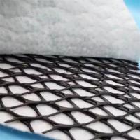 China Width 2m-4m Composite Geotextile Plastics Geonet Drainage Net for Project Solutions for sale