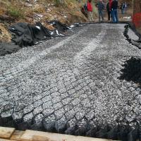China HDPE Geocell 100mm Height ASTM Standard Honeycomb Gravel Driveway Paving Grid for Soil Stabilization for sale