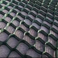 China Black HDPE Geocells The Ultimate Solution for Erosion Control and Soil Stabilization for sale