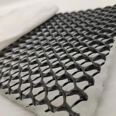 China HDPE 3D Composite Drainage Geonet 7mm Thickness 1400gsm for Industrial Design for sale