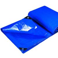 China Blue Coated PE Tarp Waterproof Lightweight Roof Cover 50-300gsm HDPE Tarpaulin Sheet for sale