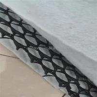 China Black White 3D Geocomposite Drainage Net 7mm Thickness 1400g/m2 for Landscaping CE ISO Certified for sale