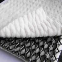 China Black White 3D Geocomposite Drainage Net 7mm Thickness 1400g/m2 for Landscaping CE ISO Certified for sale