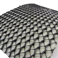 China CE/ISO9001/ISO14001 Certified 3D Drainage Net Road Base Geonet for Stable Construction for sale