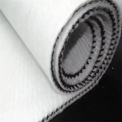China Hdpe Plastic 3d Triplanar Composite Drainage Net Network Geonet for Customized Length for sale