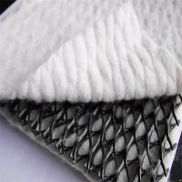 China Hdpe Plastic 3d Triplanar Composite Drainage Net Network Geonet for Customized Length for sale