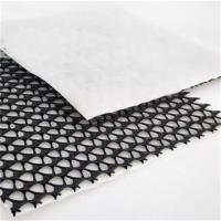 China Hdpe Plastic 3d Triplanar Composite Drainage Net Network Geonet for Customized Length for sale