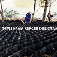 China HDPE Geocell Ground Grid Paver 50mm Height for Gravel Driveway and Road Stabilization for sale
