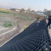 China HDPE Geocell Ground Grid Paver 50mm Height for Gravel Driveway and Road Stabilization for sale