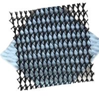China 3D Composite Drainage Network Density Polyethylene Plastic for Sports Grounds and Landfill for sale