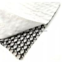 China 3D Sports Grounds Three Dimensional Underground Composites Drainage Network Net for sale