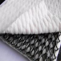 China 3D Sports Grounds Three Dimensional Underground Composites Drainage Network Net for sale