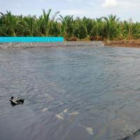 China HDPE Geomembrane 0.5mm 2mm Smooth Pond Liner for Fish Farm Aquaculture for sale