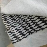 China Luxin 3D Composite Drainage Geonet 7mm Thick High Tensile Strength for Road Base for sale
