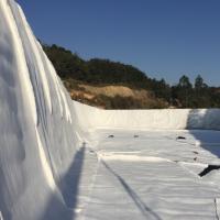 China density Polyethylene Plastic Road Base Geonet 3D Composite Drainage Geonet Compound Net Length 50m for sale