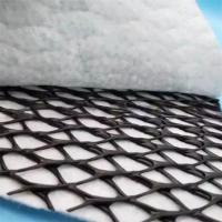 China 50m Geocomposite Drainage Sheet 3D Composite Drainage Net 7mm Thickness for Landfill for sale