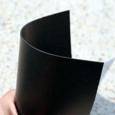 China Professional Solution Fish Pond Liner HDPE Waterproofing Membrane for 3D Model Design for sale