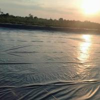 China Professional Solution Fish Pond Liner HDPE Waterproofing Membrane for 3D Model Design for sale