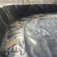 China Professional Solution Fish Pond Liner HDPE Waterproofing Membrane for 3D Model Design for sale