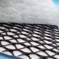 China Customized Length Black White Road Base Drainage Net Geocomposite Compound Net 3d Geonet for sale