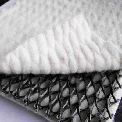 China Industrial Design Landscaping Drainage Mat 3D Composite Drainage Geonet Compound Net for sale