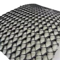China Industrial Design Landscaping Drainage Mat 3D Composite Drainage Geonet Compound Net for sale