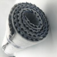 China HDPE 3D Composite Drainage Geonet 100m Length for Reservoirs High Strength for sale