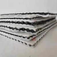 China HDPE 3D Composite Drainage Geonet 100m Length for Reservoirs High Strength for sale