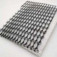 China HDPE 3D Composite Drainage Geonet 100m Length for Reservoirs High Strength for sale