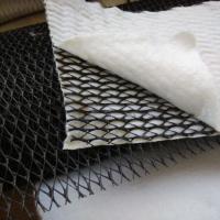 China HDPE 3D Composite Drainage Geonet 100m Length for Reservoirs High Strength for sale