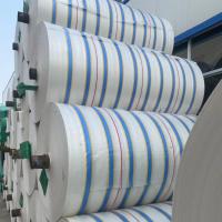 China Heavy Duty PE Tarpaulin Roll Waterproof HDPE Woven 50-300gsm for Outdoor Protection for sale
