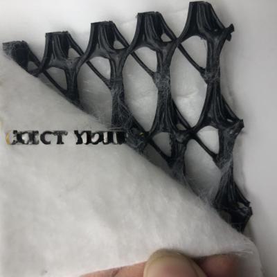 China 3D Composite Geonet for Drainage Length 50m 100m High Tensile Strength Geocomposite Drainage Net for sale