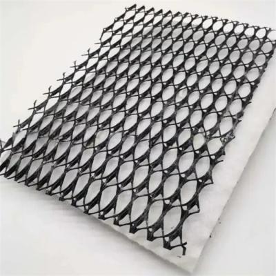 China 3D Composite Drainage Geonet Polyethylene Net 7mm Thickness 1400g/m2 for Road Base for sale