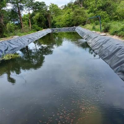 China HDPE Geomembrane 1mm 2mm Waterproof Liner for Pond Dam Fish Farm Tank Lining for sale